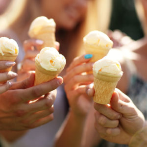 North Orange Democrats Spring Ice Cream Social